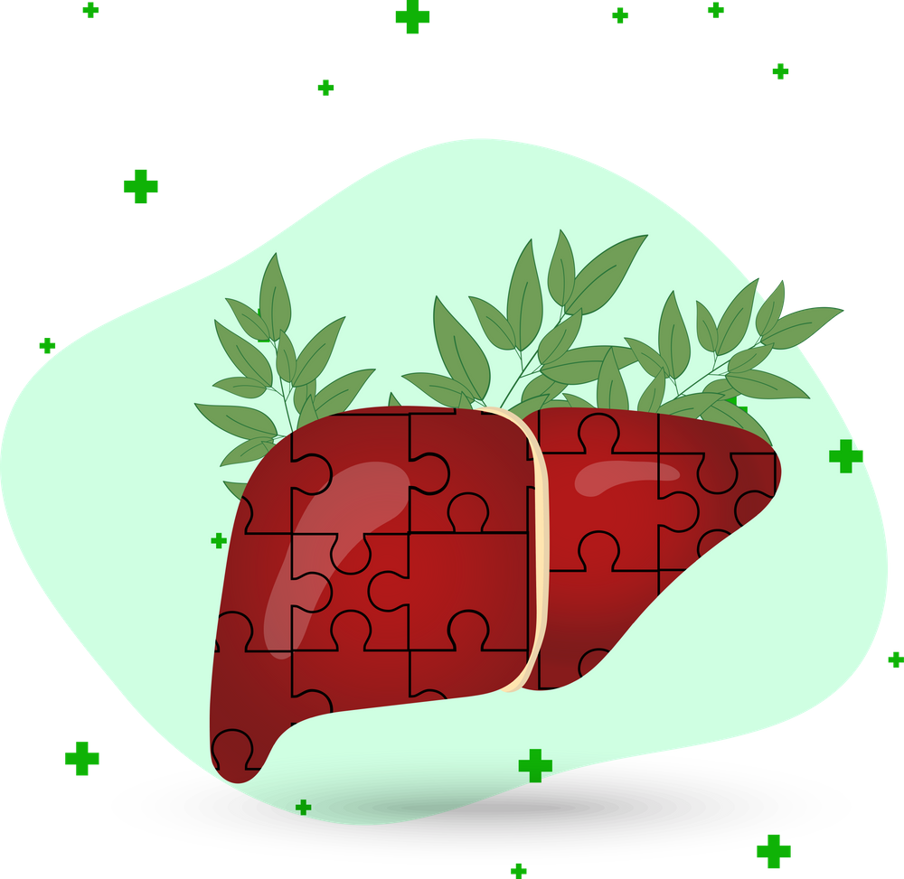 ToxOut - Natural Liver Cleanse by Steiger Naturals