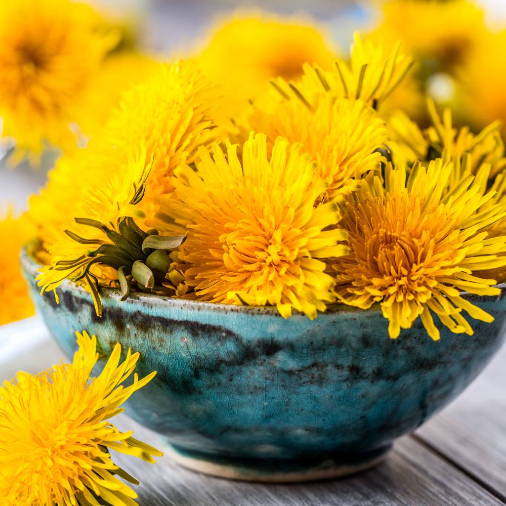 ToxOut - Natural Liver Cleanse by Steiger Naturals